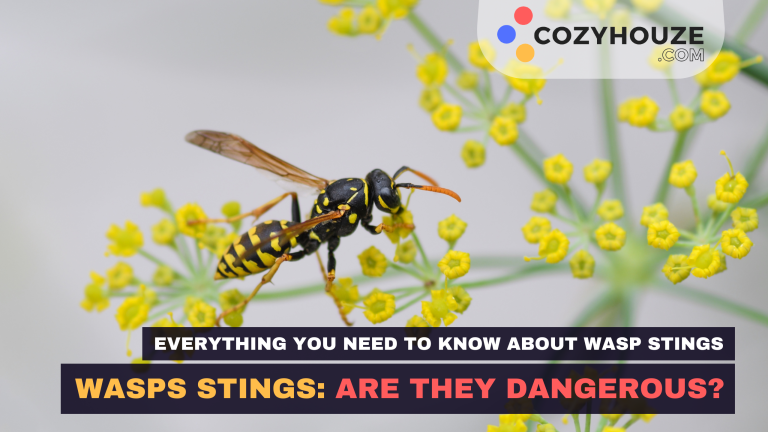 Wasp Stings: Are They Dangerous?